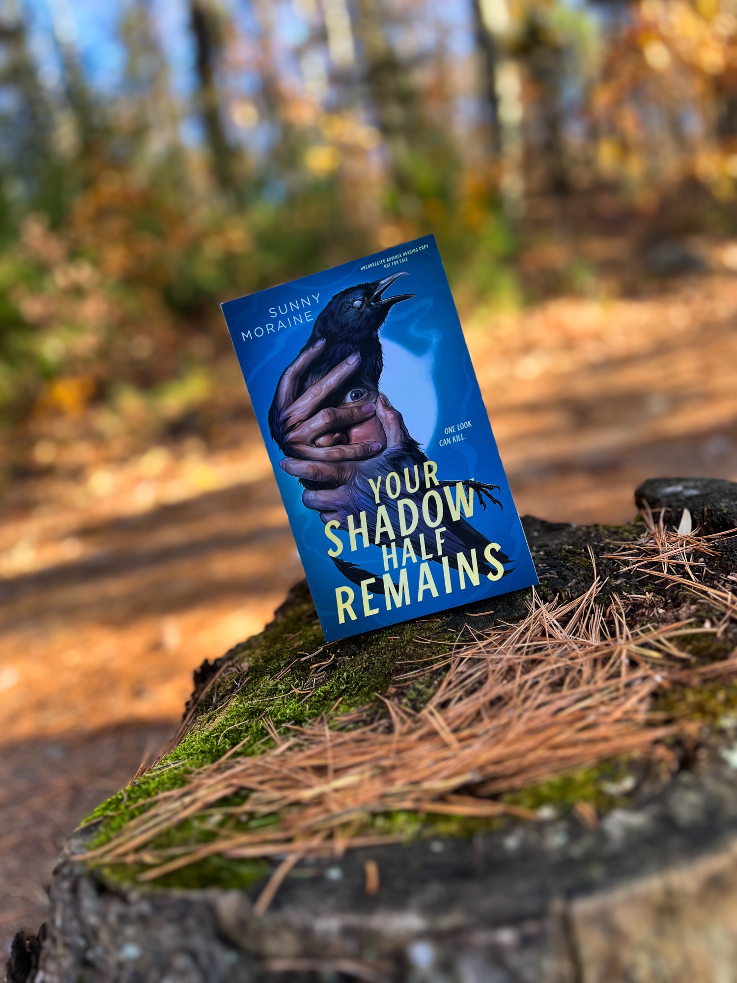 YOUR SHADOW HALF REMAINS – Sunny Moraine – Grimdark Dad