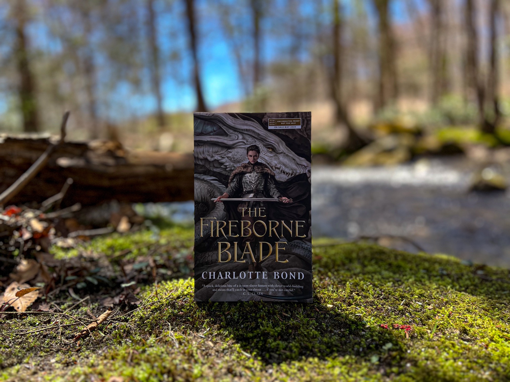 THE FIREBORNE BLADE – Charlotte Bond – Grimdark Dad