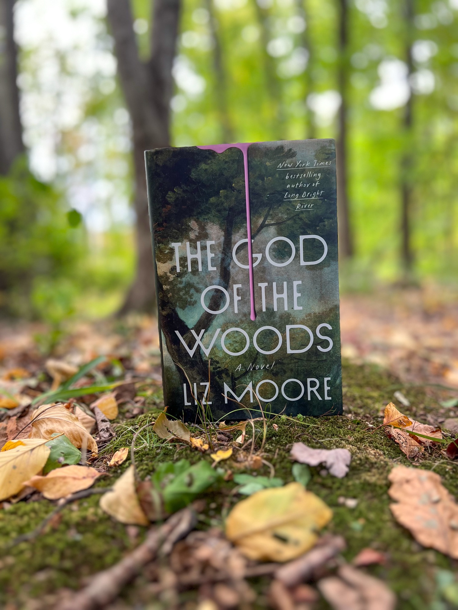 THE GOD OF THE WOODS – Liz Moore – Grimdark Dad