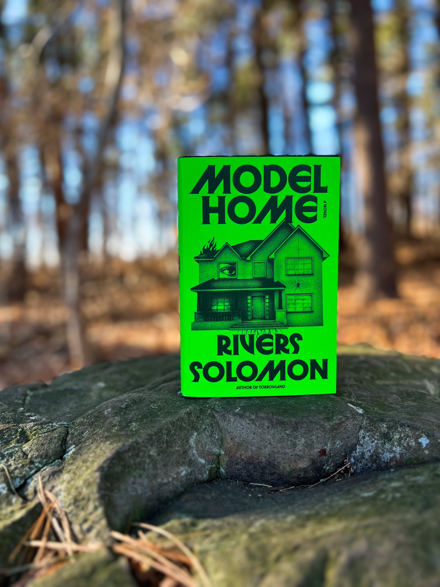 MODEL HOME – Rivers Solomon – Grimdark Dad