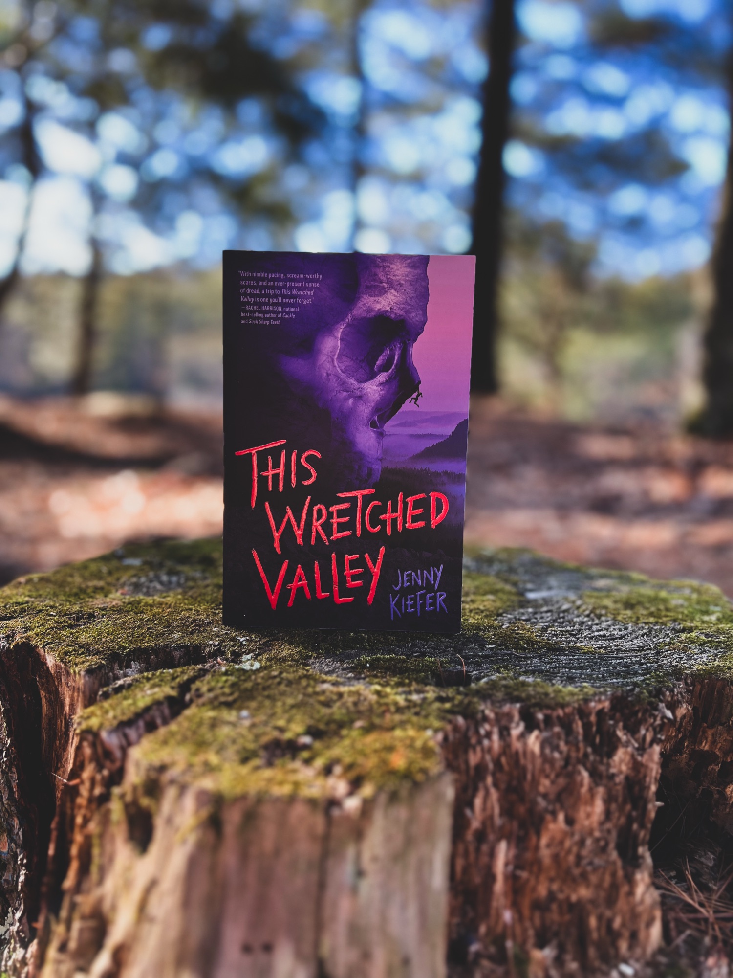 THIS WRETCHED VALLEY – Jenny Kiefer – Grimdark Dad