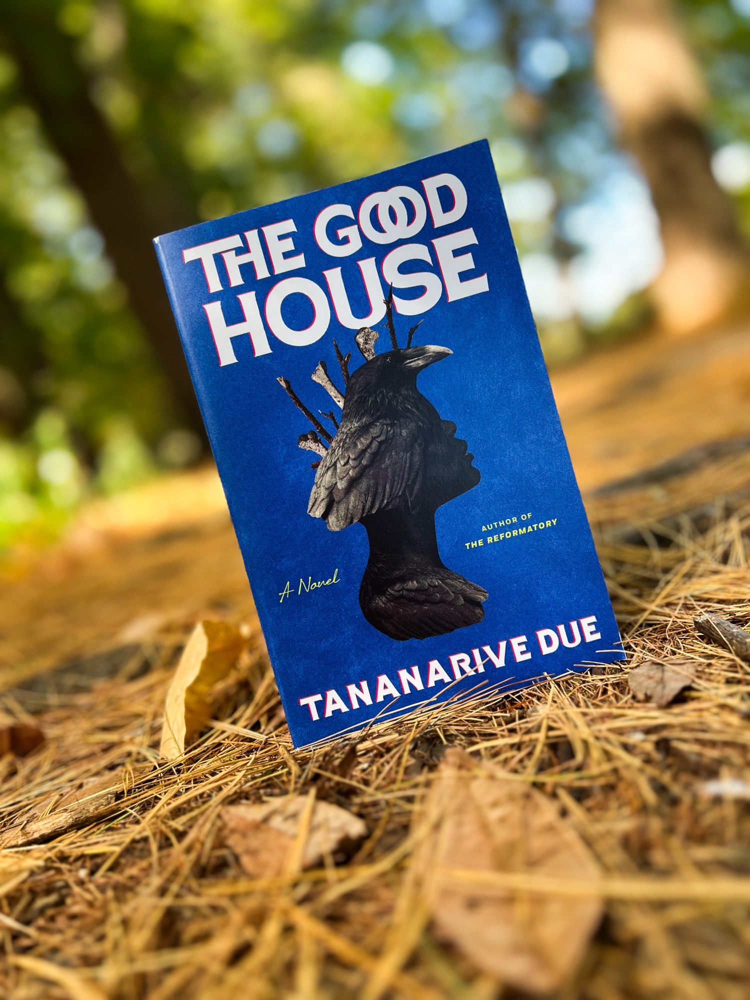 THE GOOD HOUSE – Tananarive Due – Grimdark Dad